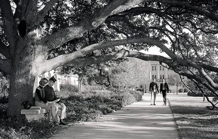 History — Aggie Century Tree Project