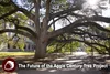 Future of the Aggie Century Tree Project — Aggie Century Tree Project