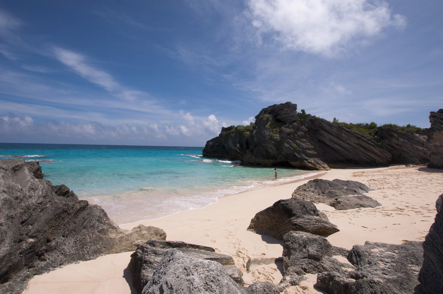 BERMUDAThe Local Visitor | A Guide to Vancouver from Locals