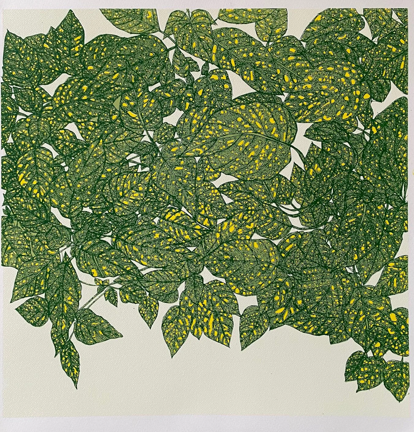 clare halifax — Artsnug