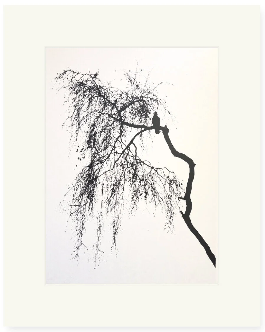 How To Draw Trees Birds Eye View