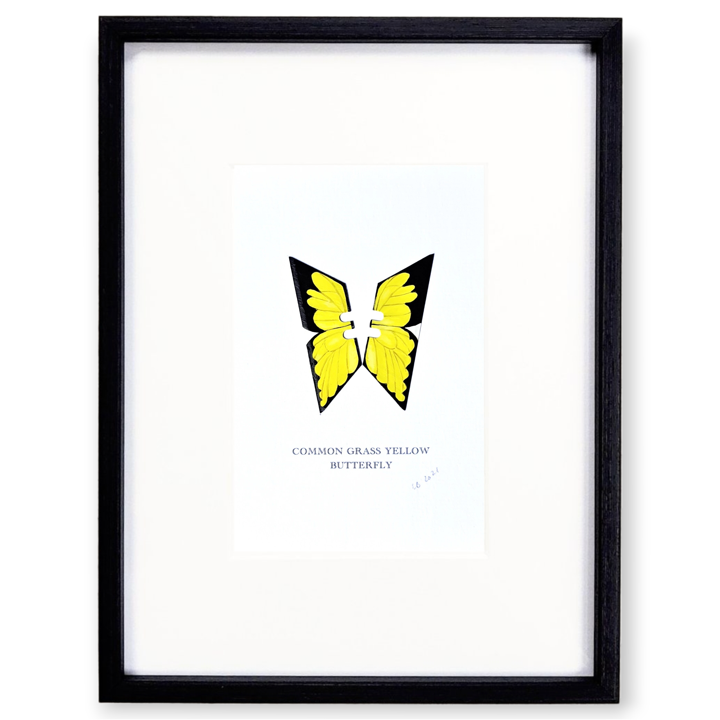 Lene Bladbjerg Common Grass Yellow Butterfly Framed — Artsnug
