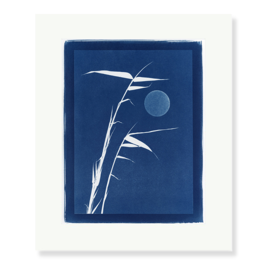 alice serafino — Artsnug