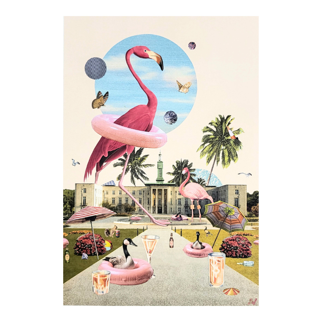 angus vine "birds in paradise" — Artsnug