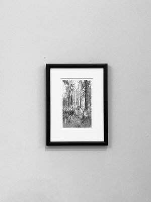 Journal of Hampshire based artist, Claire Leach. — Claire Leach