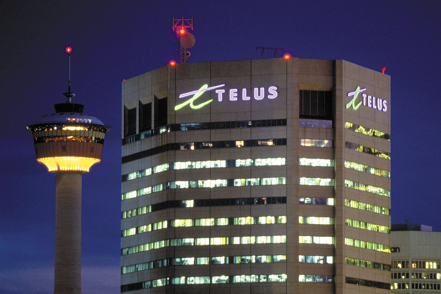 Telus Logo Design & Visual System Strategy Case Study — Ryan Paul Studio