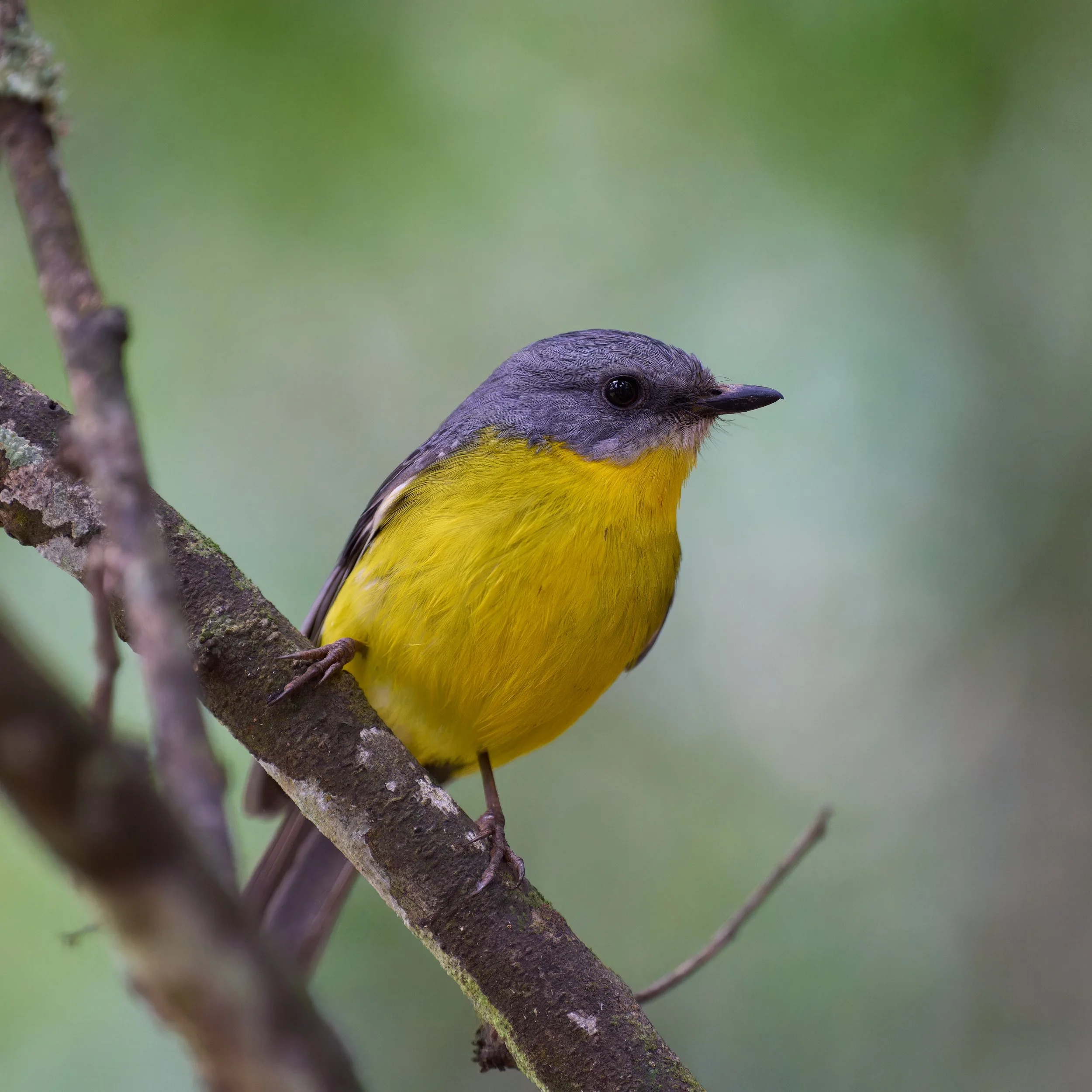 Nicholas Tinsley Photography