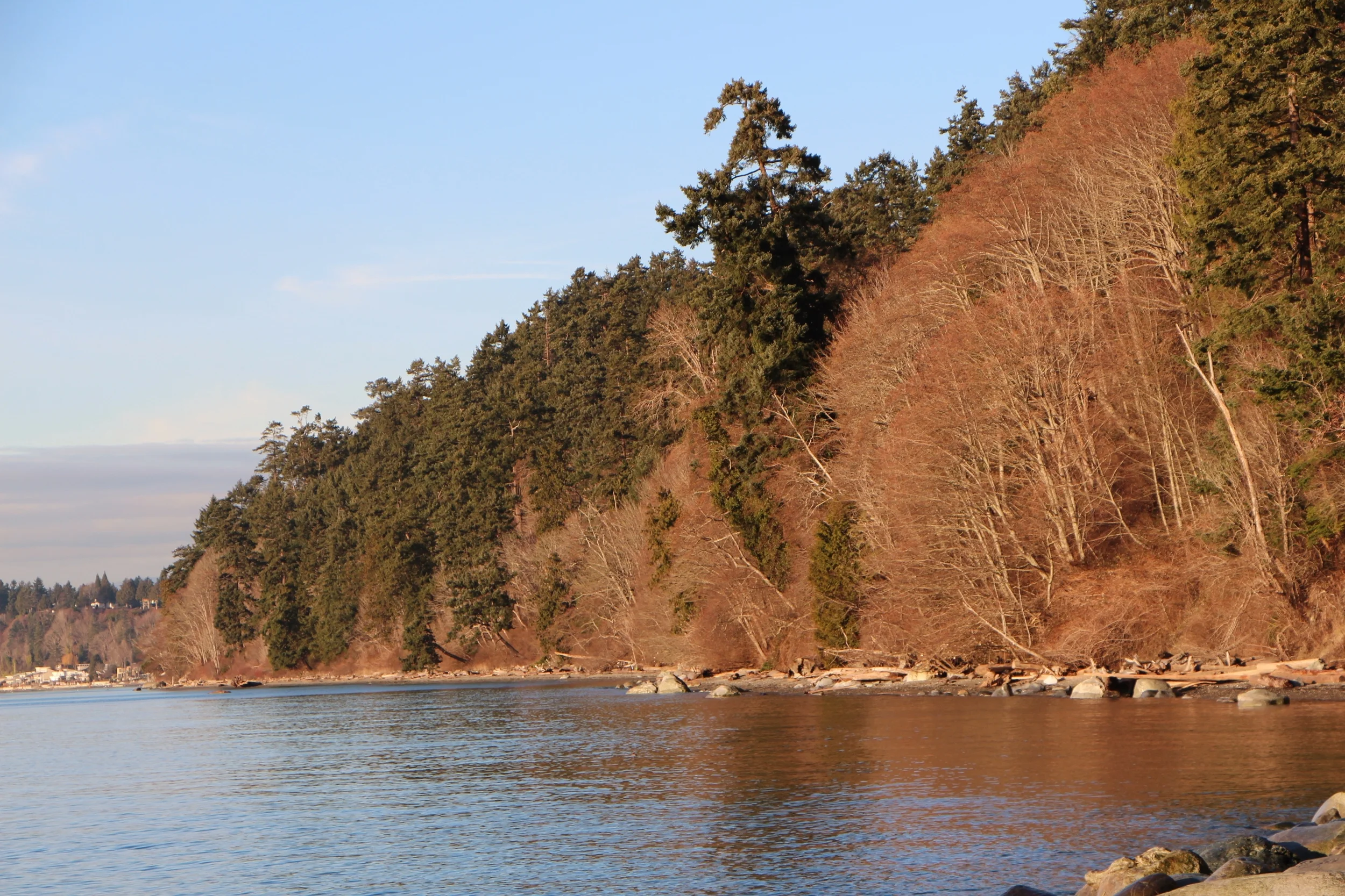 Point Roberts Waterfront — Team Vancour