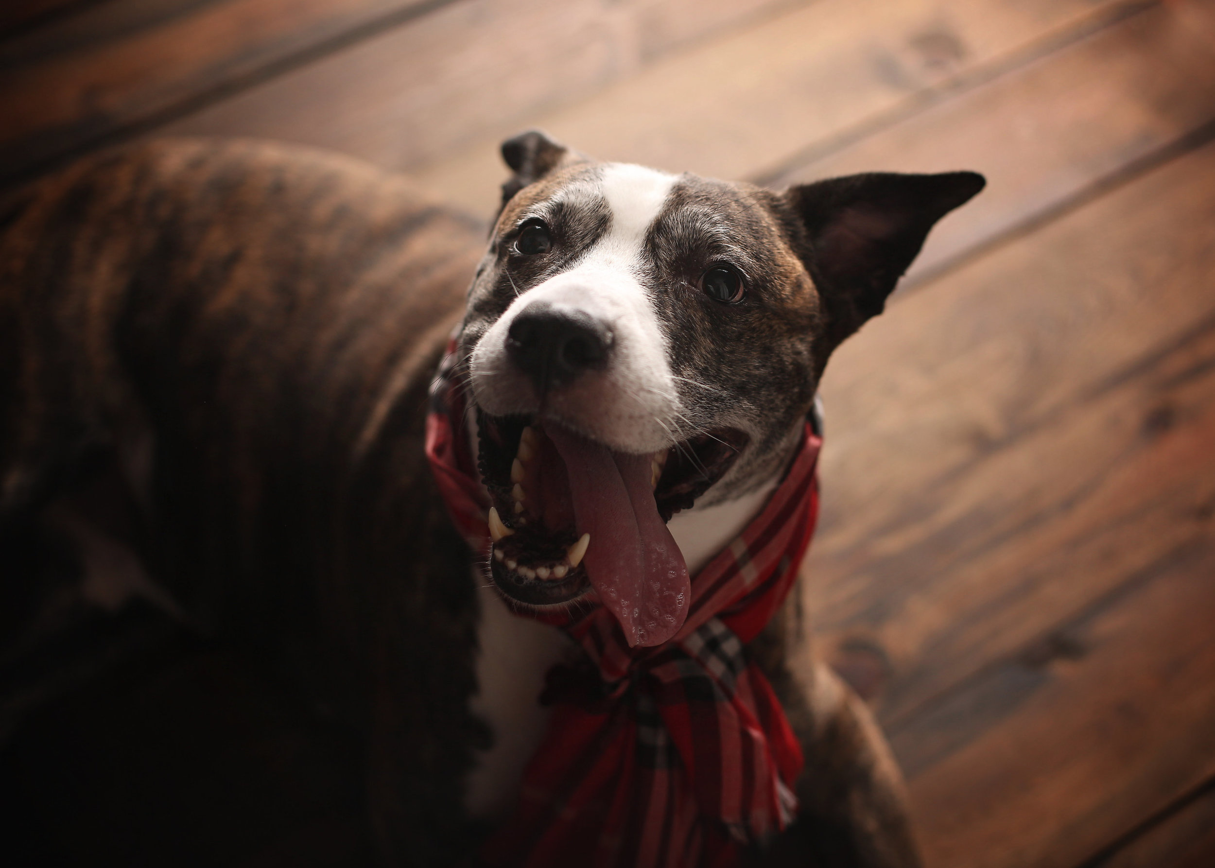 Training Pricing and Purchase