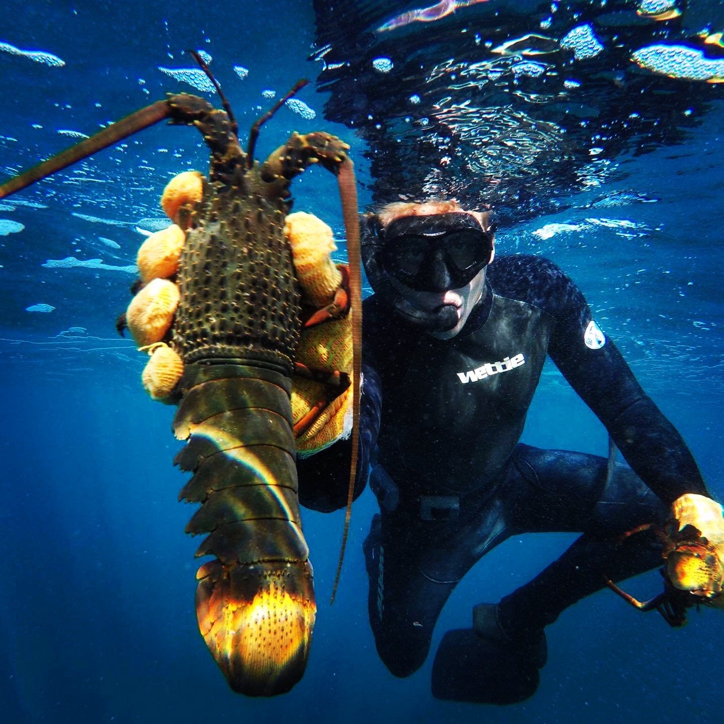 Australia's Coastal Wilderness Adventures