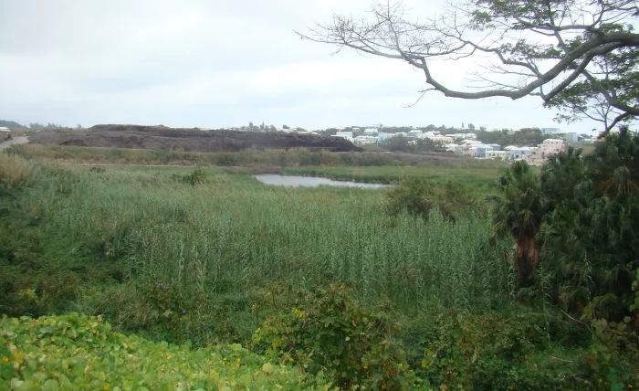 pembroke marsh park — planning & design bermuda