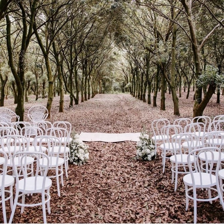 COLLECTIONS — THE WEDDING SHED | HIRE & STYLE