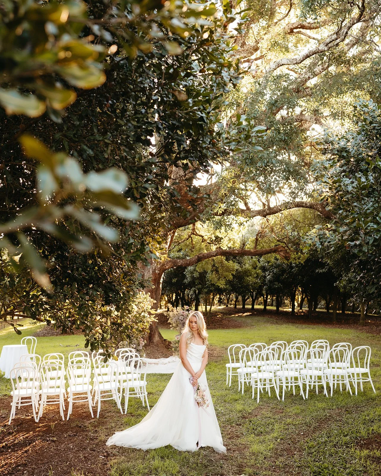 COLLECTIONS — THE WEDDING SHED | HIRE & STYLE