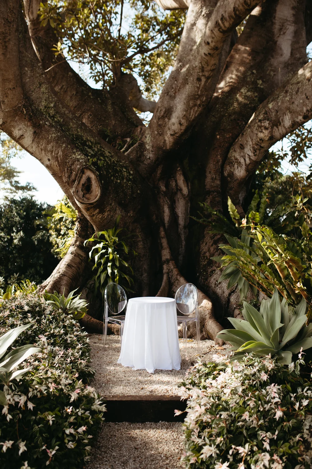 Our Complete Wedding Decor Collections — THE WEDDING SHED | HIRE & STYLE
