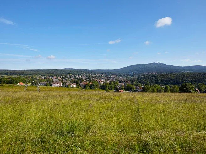 The Galka Scheyer House by Richard Neutra — ZWITSCHER-MASCHINE