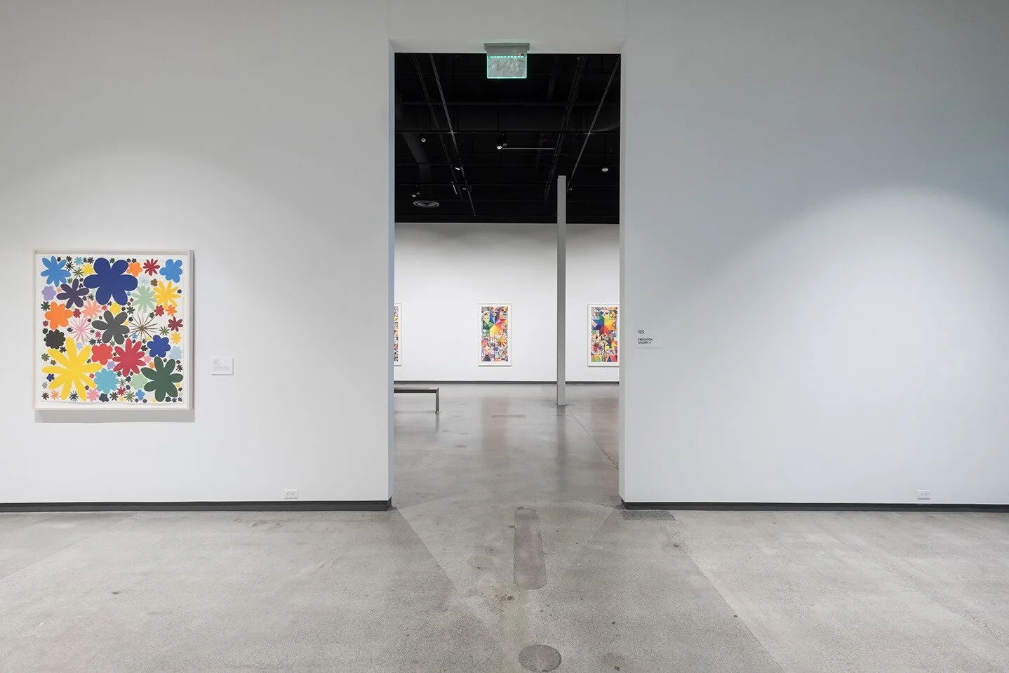 Polly Apfelbaum: Frequently the Woods are Pink — Jordan Schnitzer ...