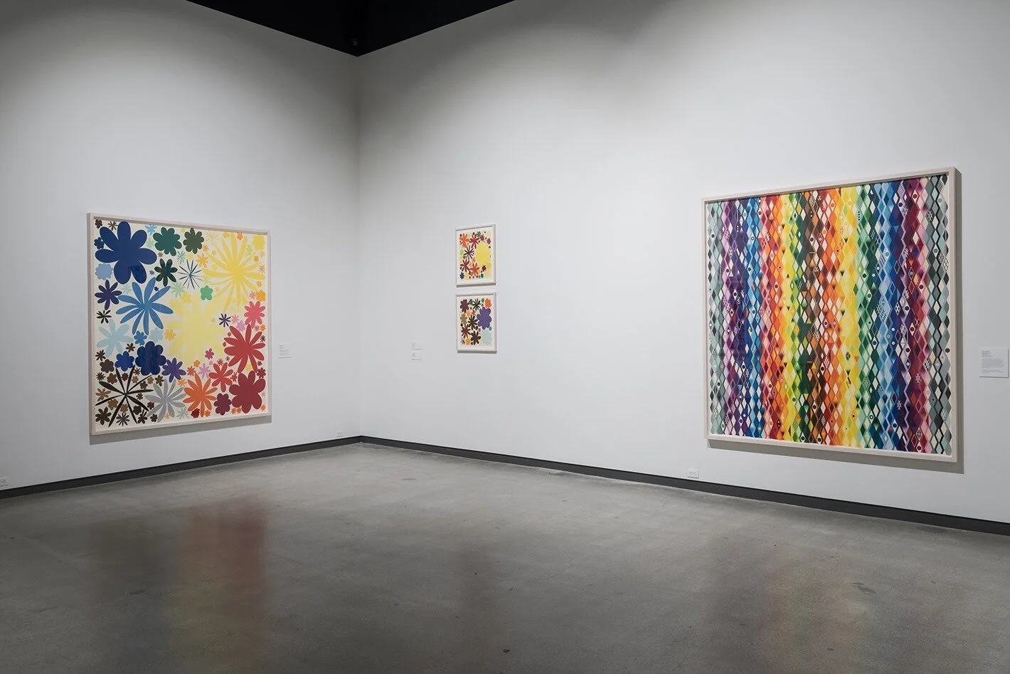 Polly Apfelbaum: Frequently the Woods are Pink — Jordan Schnitzer ...