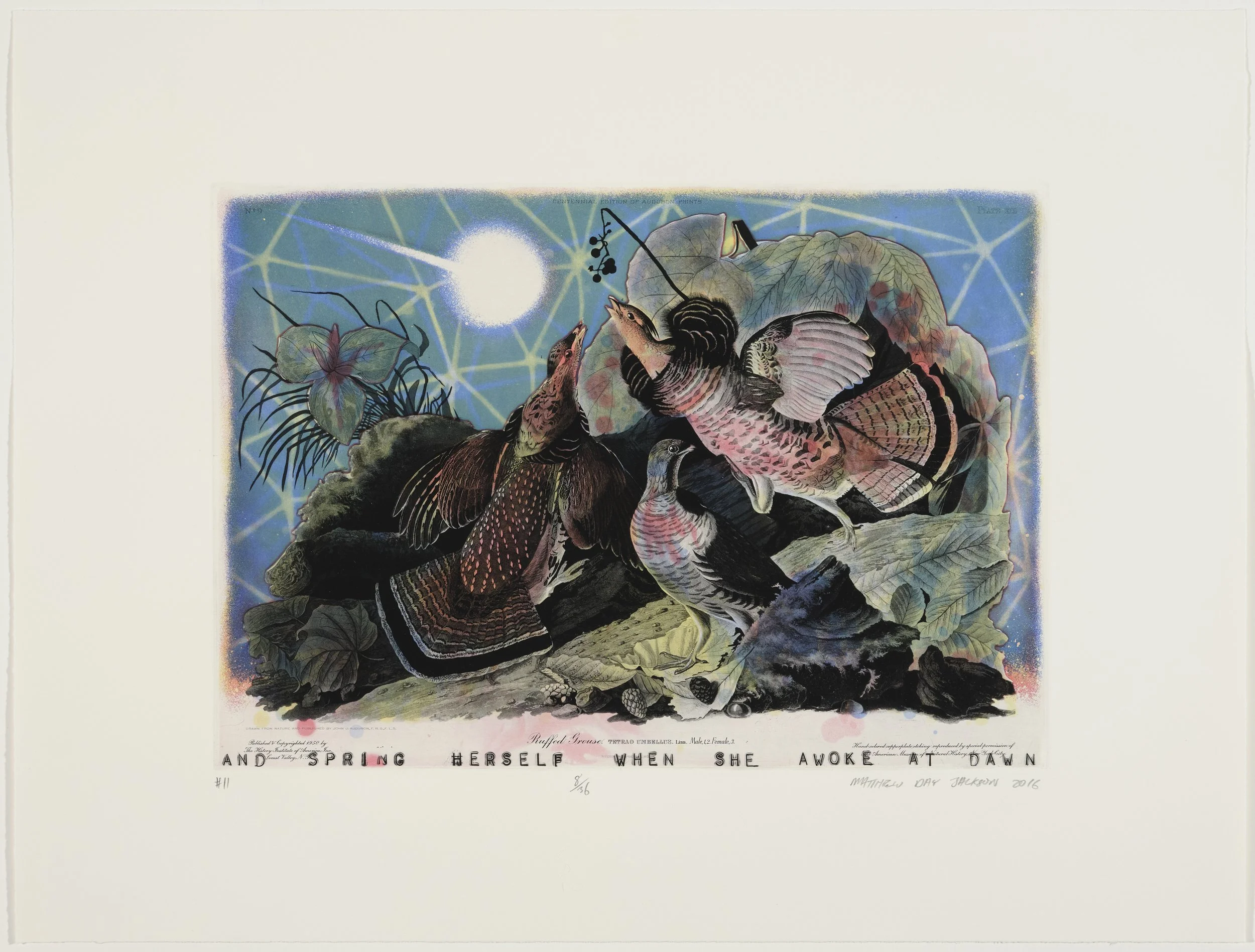 Jordan Schnitzer Family Foundation