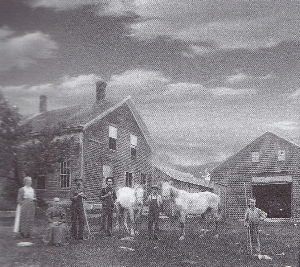 Stone Farm — Dunbarton Conservation