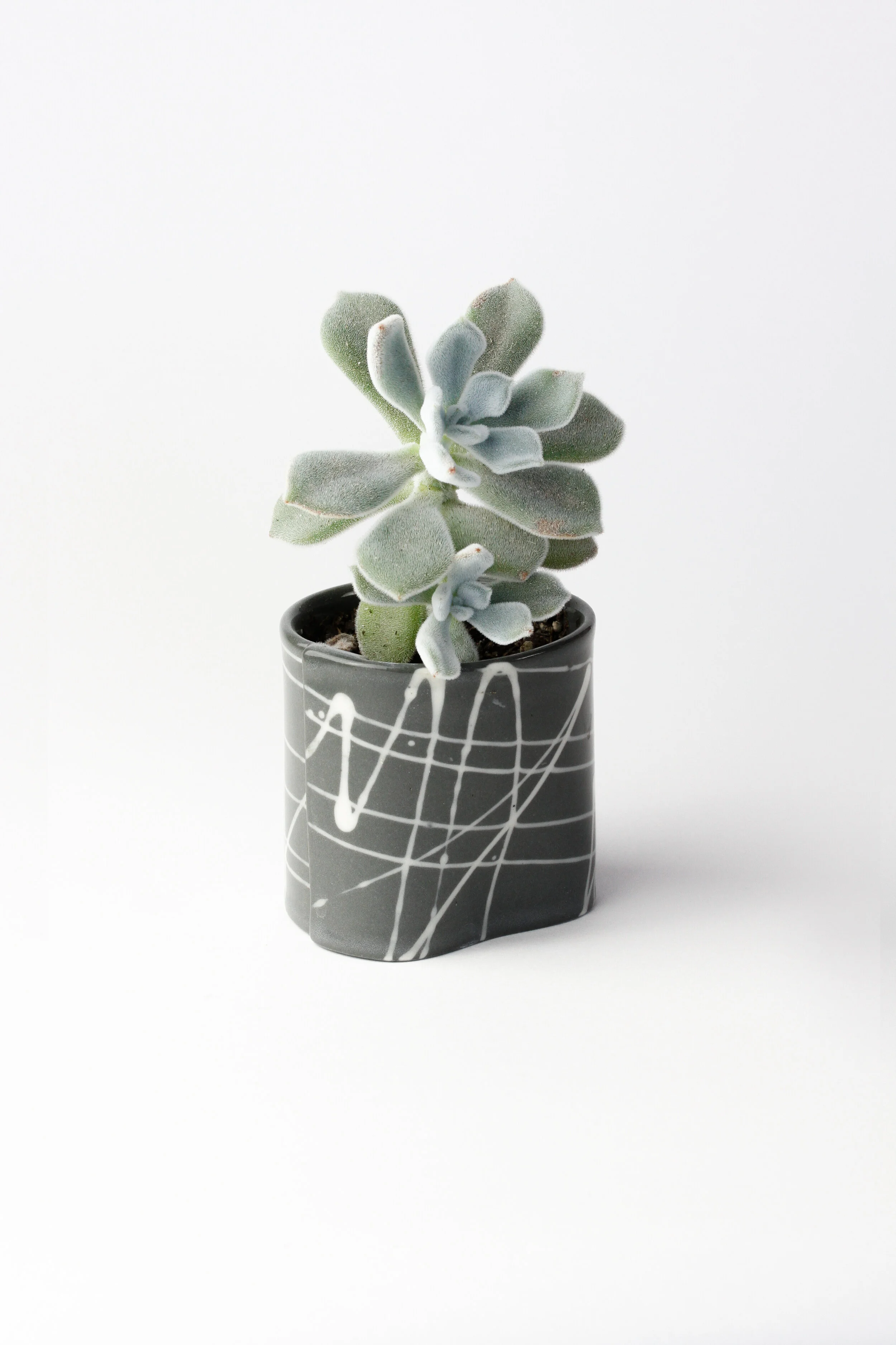 Online Shop — Wilcoxson Brooklyn Ceramics