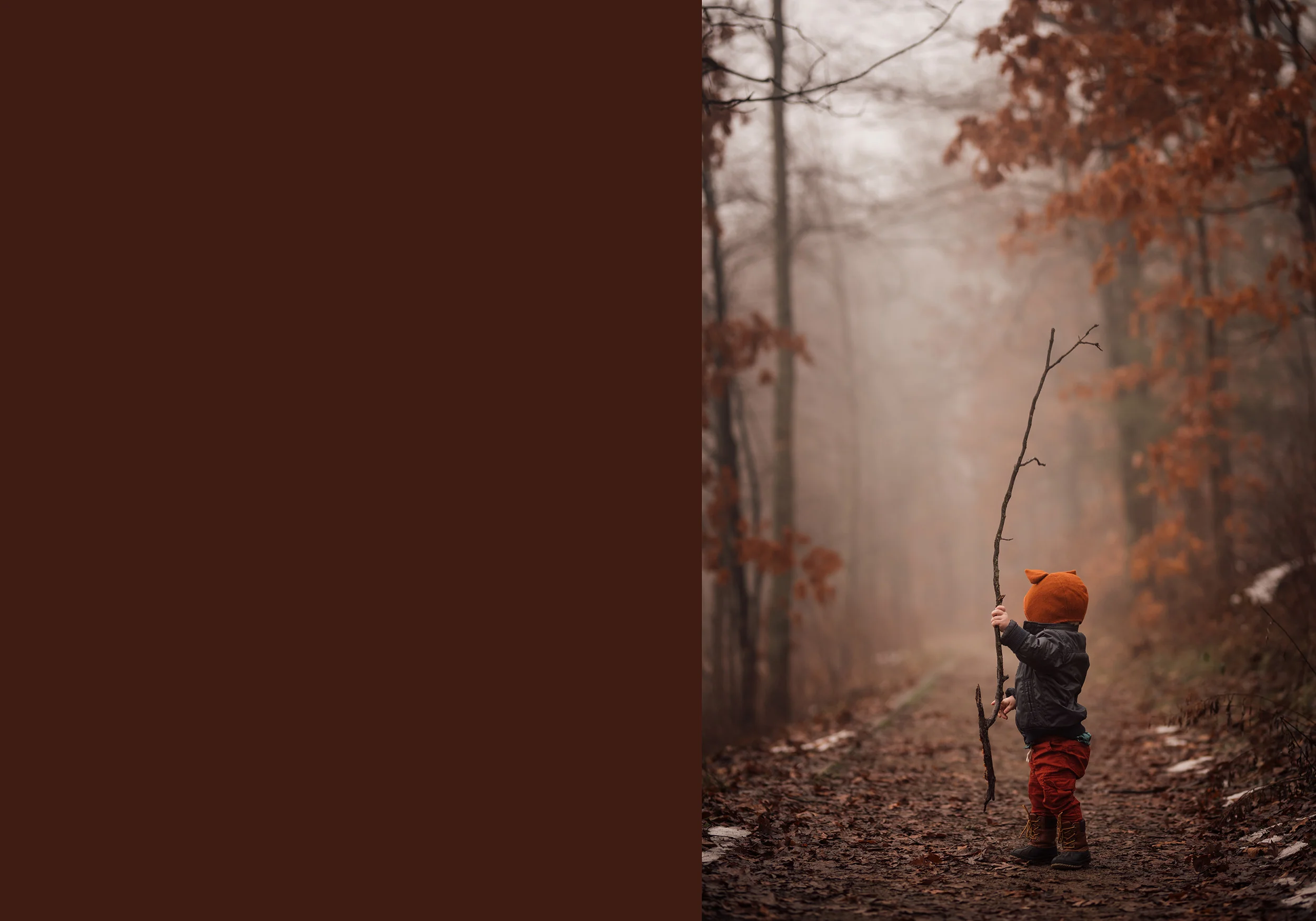 Meg Loeks Photography