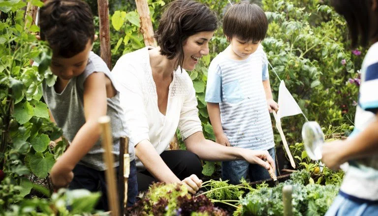 3 Ways Farm to School Makes an Impact on Schools, Students and ...