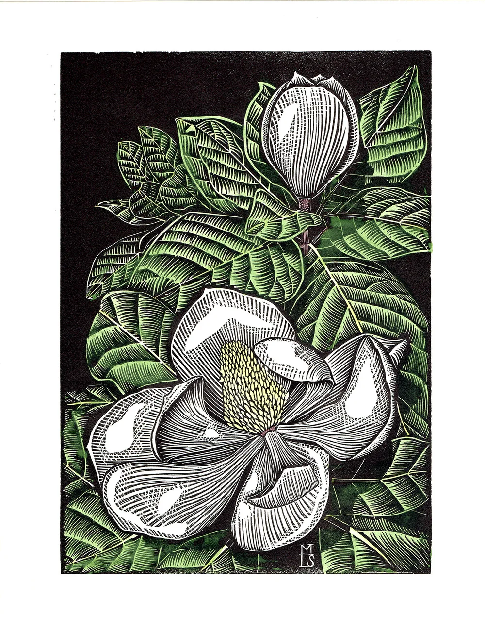 Southern Magnolia Art