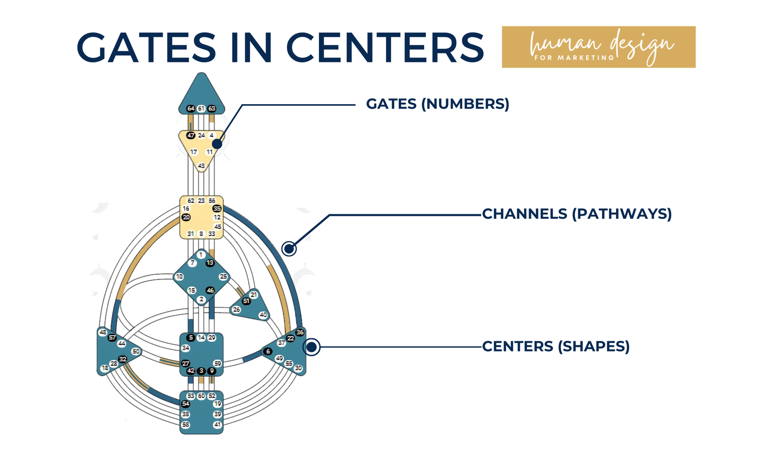 Human Design Gates Library — YVETTE MAYER