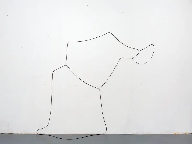 Hanging Drawings — Nancy Murphy Spicer