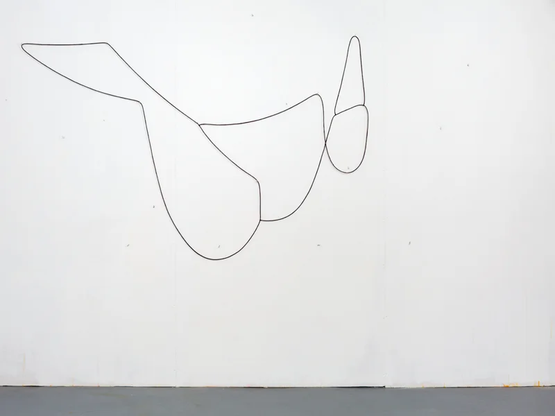 Hanging Drawings — Nancy Murphy Spicer