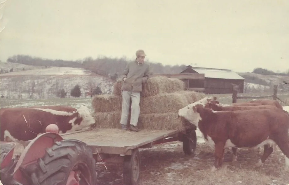 History- Kentucky Cattle Farm — Triple T Farm | Black Herefords & Black ...