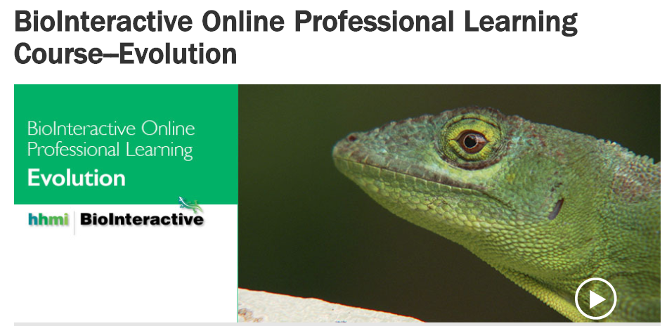 BioInteractive: free science education resources | Observatory ...