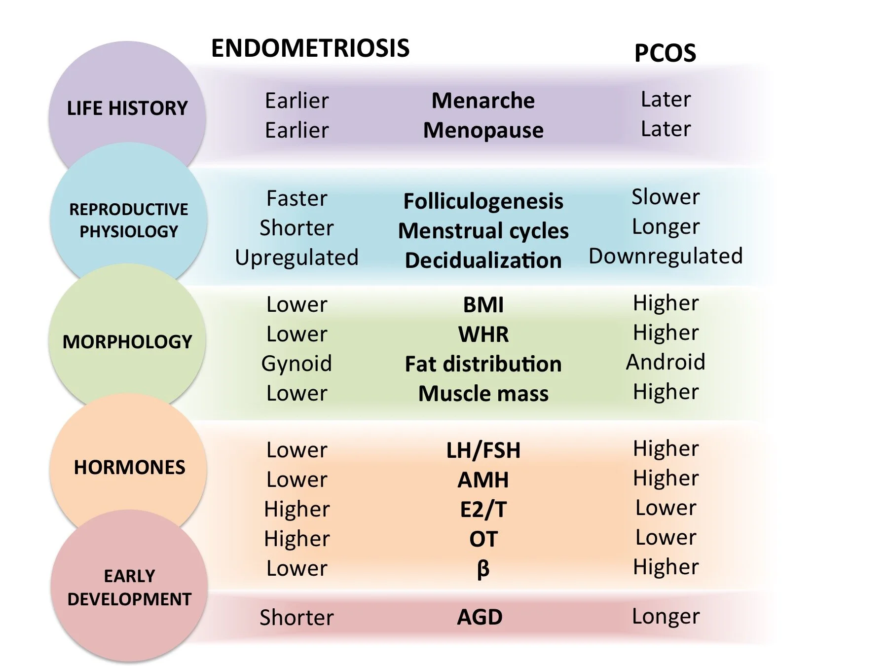 Endometriosis and PCOS are Diametric Disorders — Astrology by Nataleo