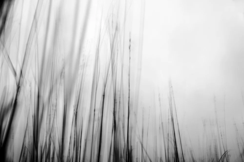 ISO — Allen Morris | photographer