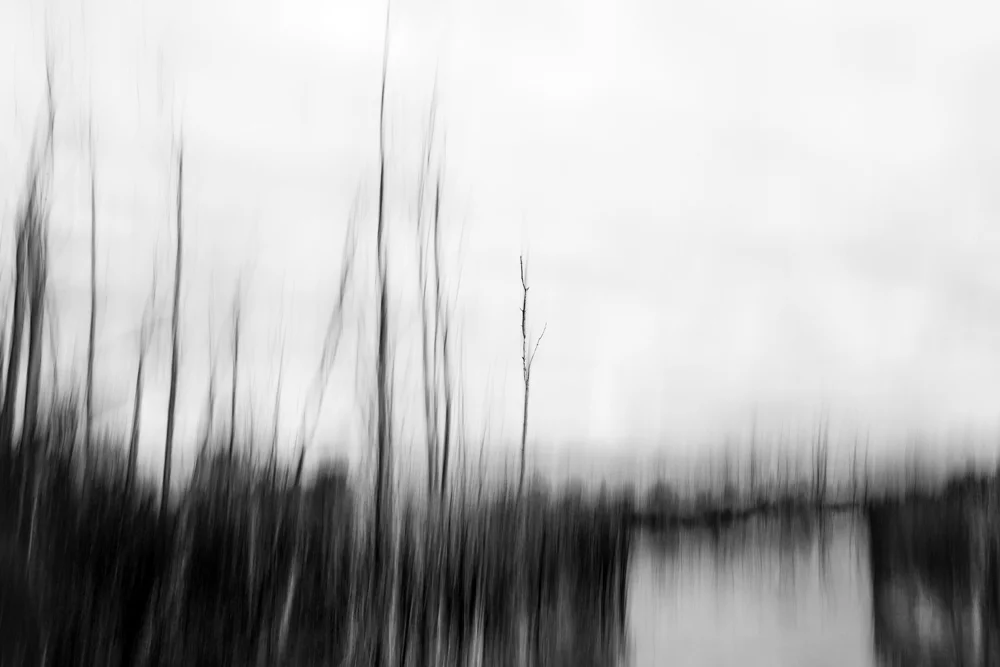 ISO — Allen Morris | photographer