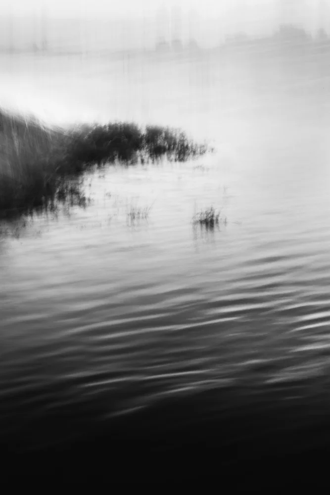 ISO — Allen Morris | photographer