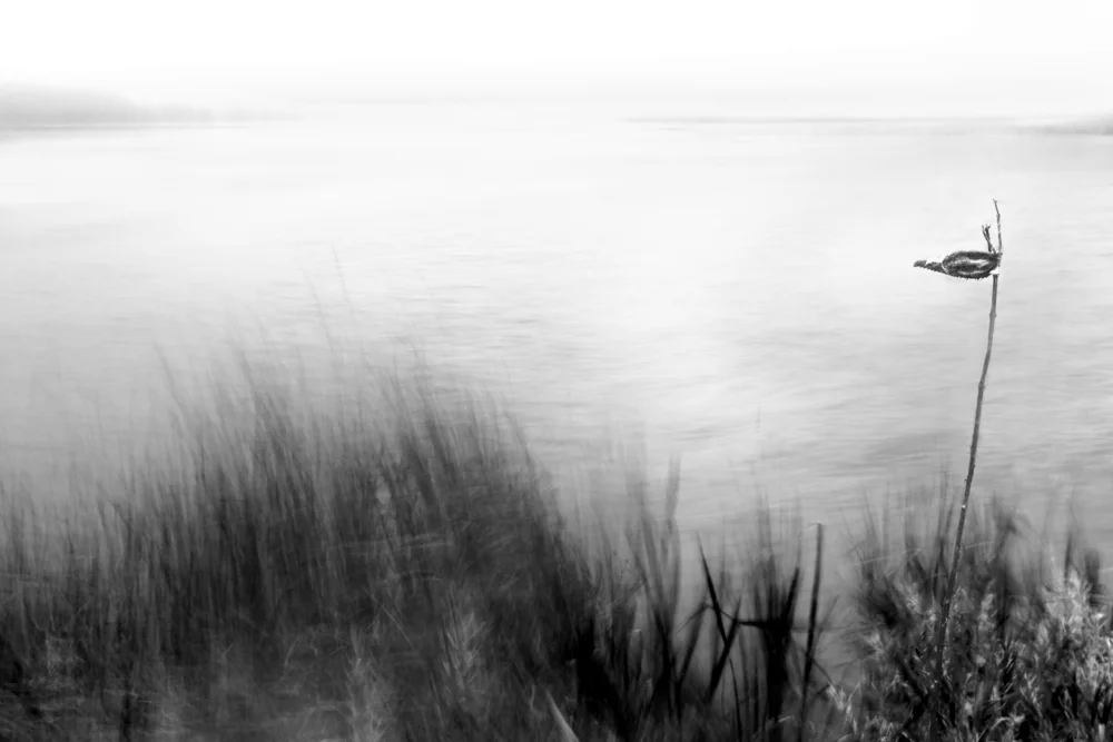 ISO — Allen Morris | photographer