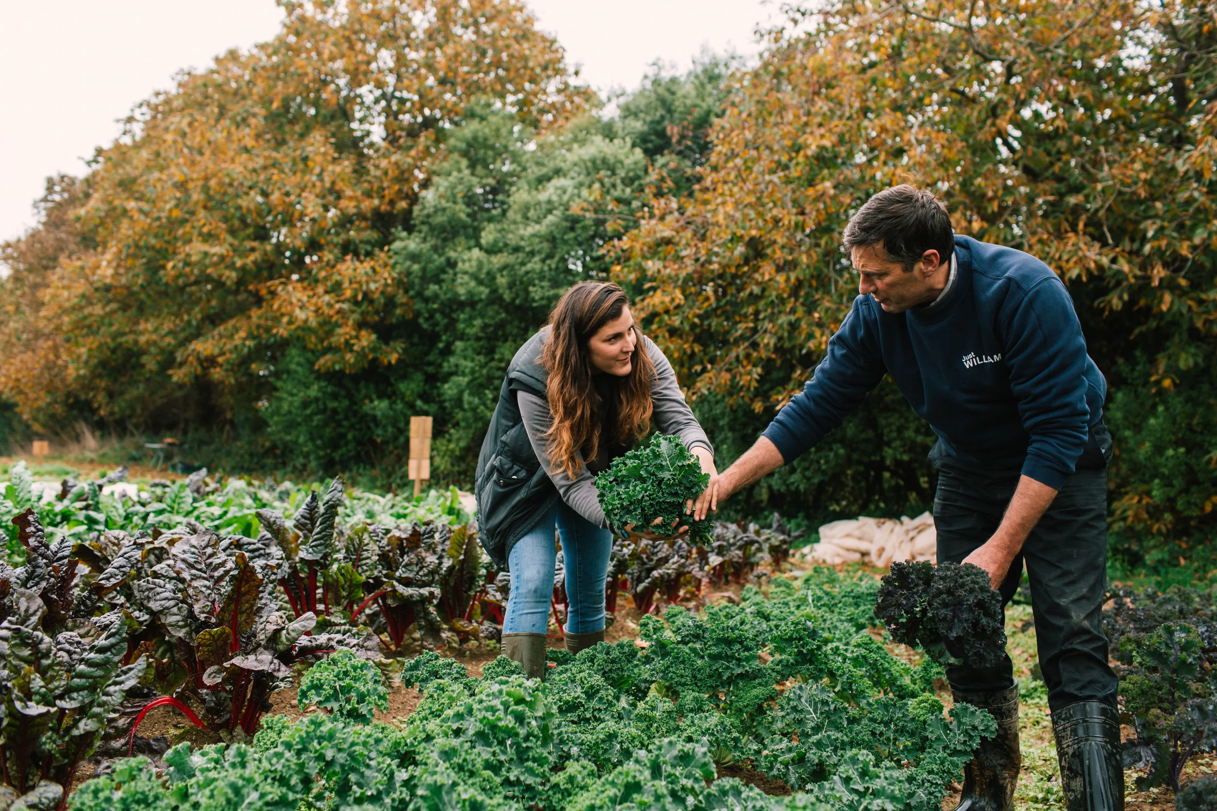 The Farm School Initiative