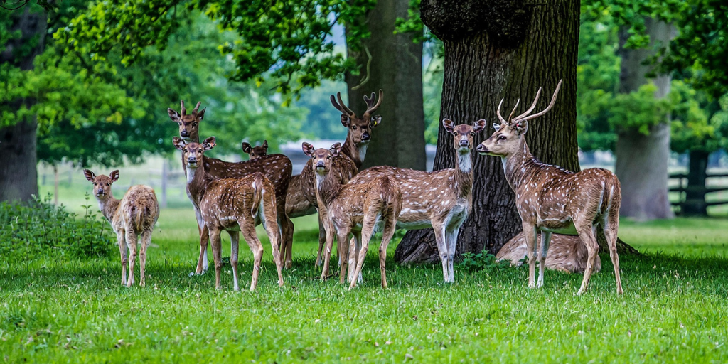 Learning & development conferences in 2026 • Elearning development company • Vancouver BC ...