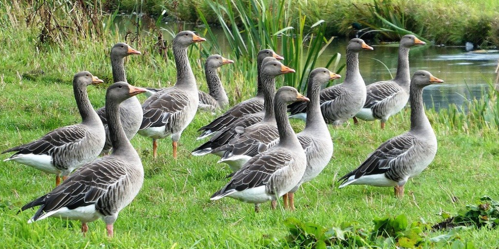 Learning & development conferences in 2025 • Elearning development company • Vancouver BC ...