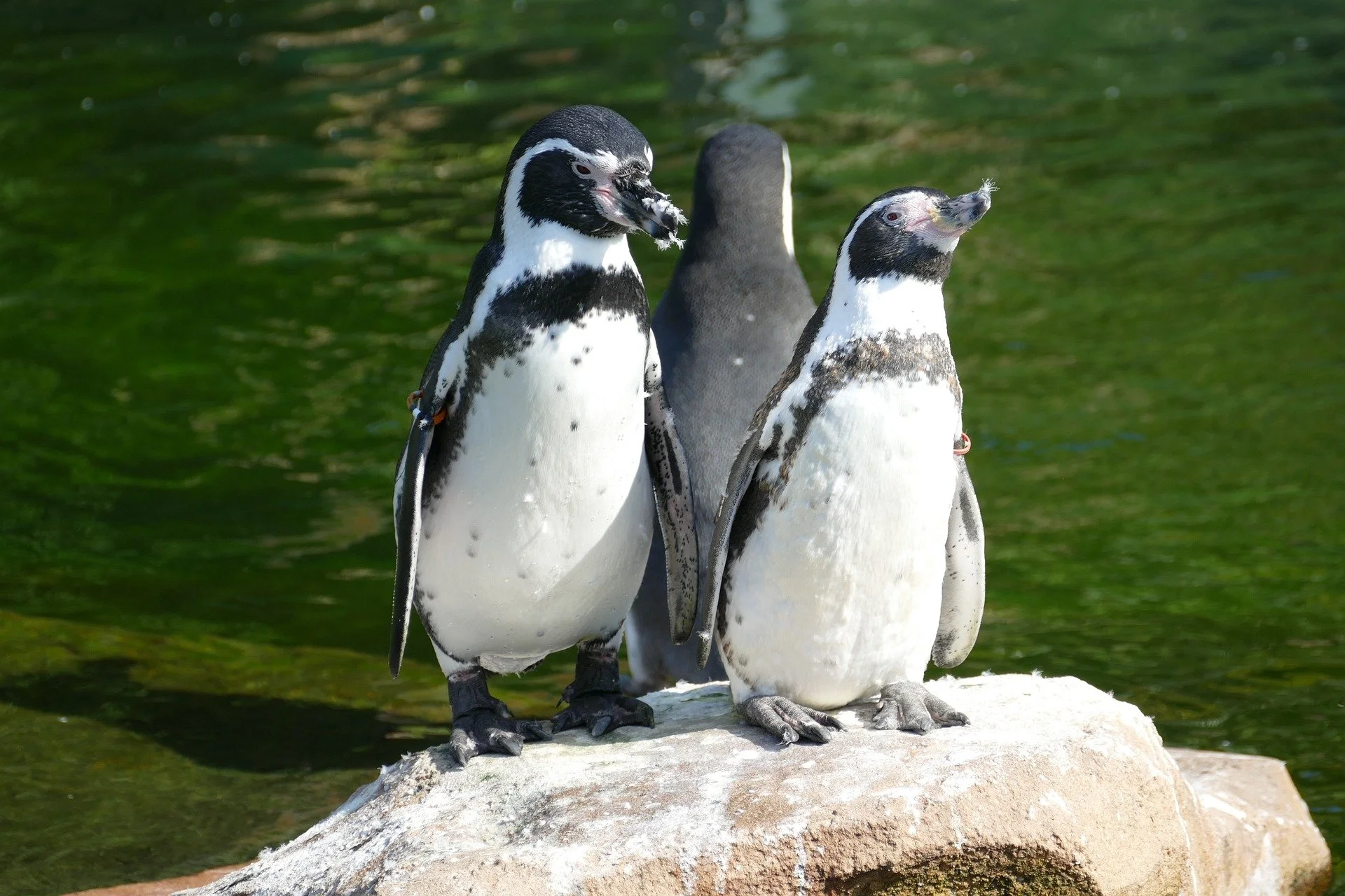 Learning & development conferences in 2024 • Elearning development company • Vancouver BC ...