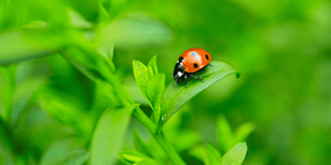 Free learning & development webinars for June 2026 • Elearning ...
