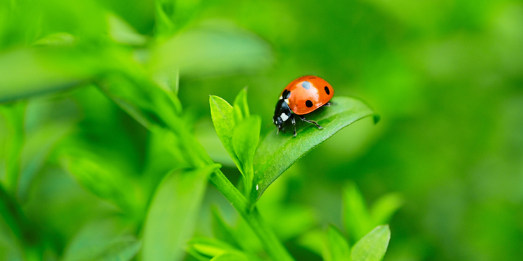 Free learning & development webinars for June 2026 • Elearning ...