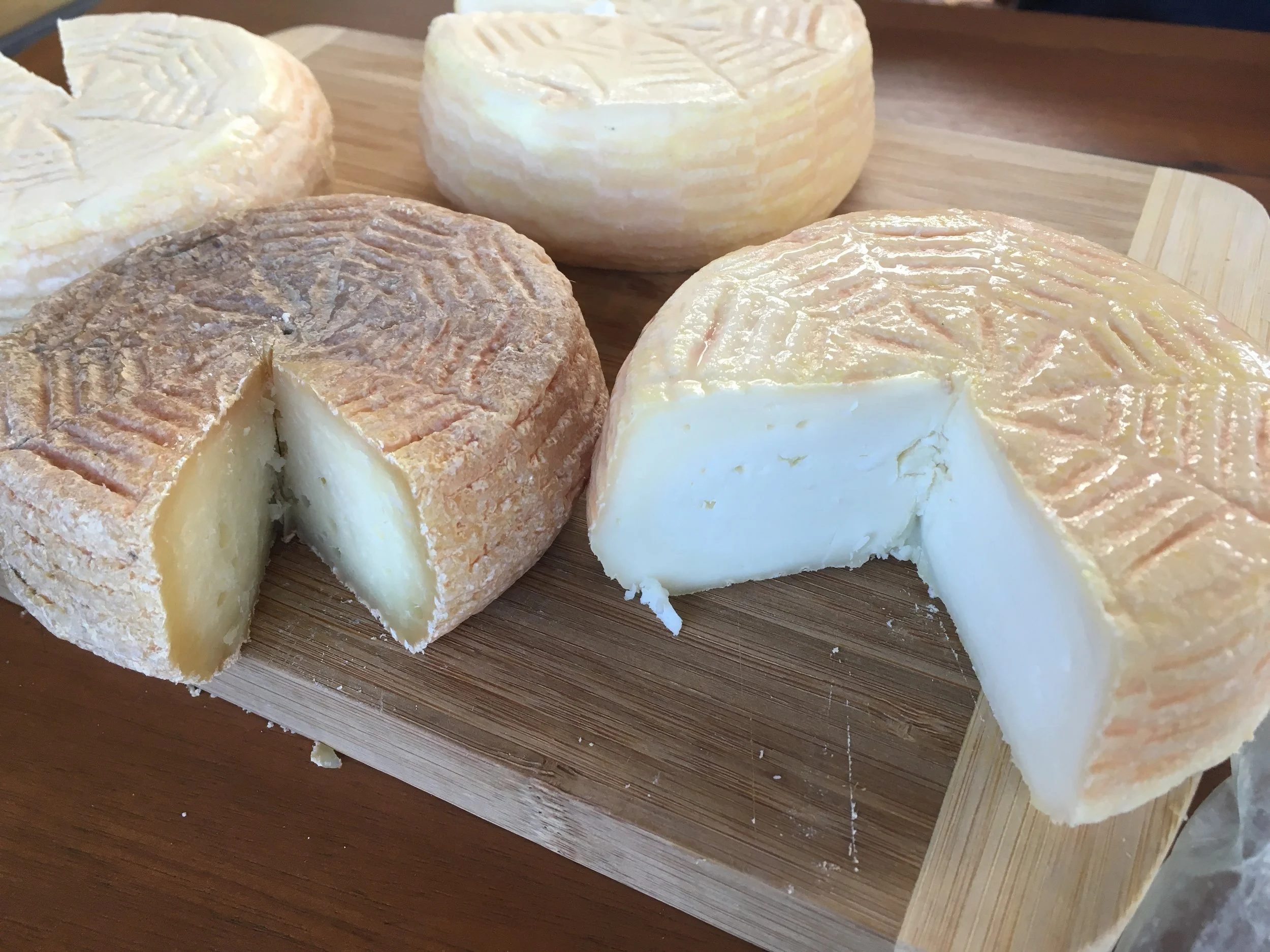 Cheesemaking — Rancho Cacachilas - Adventure Vacations in Baja ...