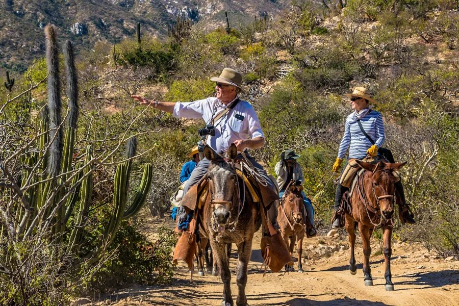 Ranch Adventure Camp — Rancho Cacachilas - Adventure Vacations in Baja ...