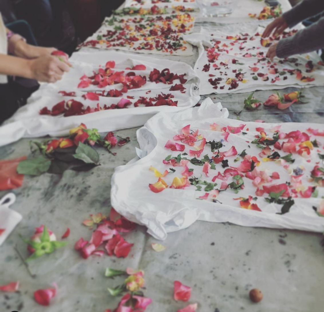 TECHNIQUES — Botanical Inks