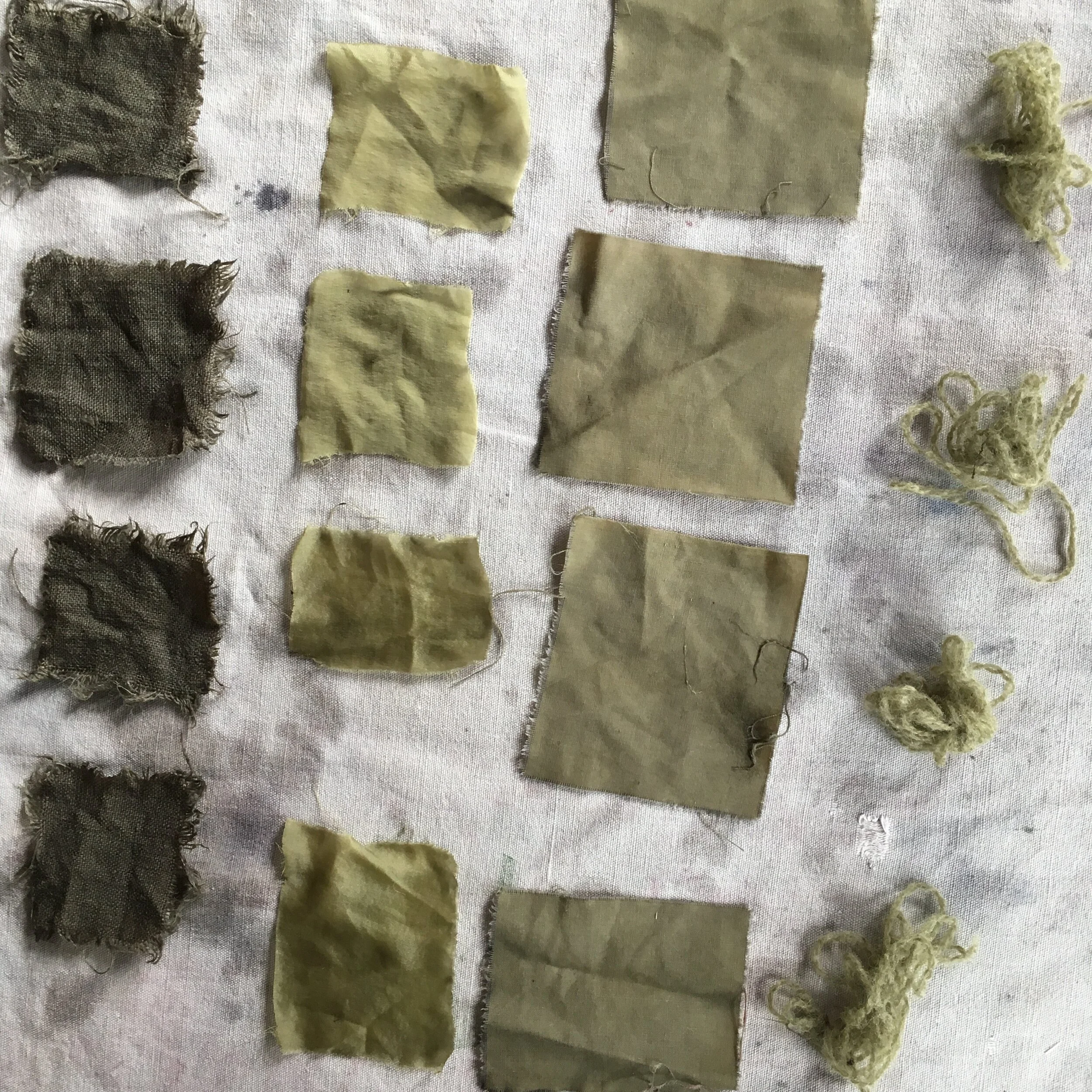 TECHNIQUES — Botanical Inks