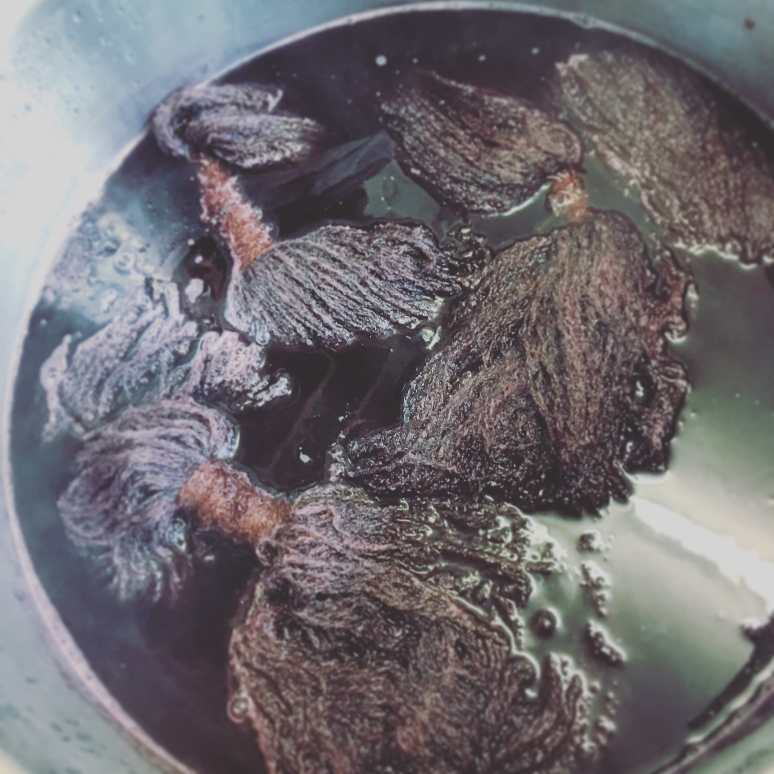 TECHNIQUES — Botanical Inks