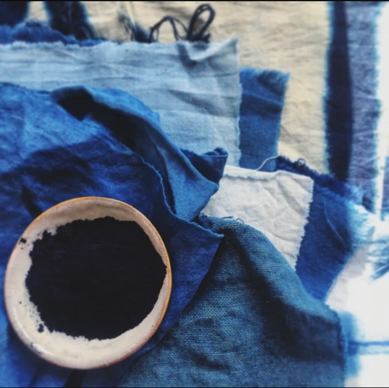 TECHNIQUES — Botanical Inks