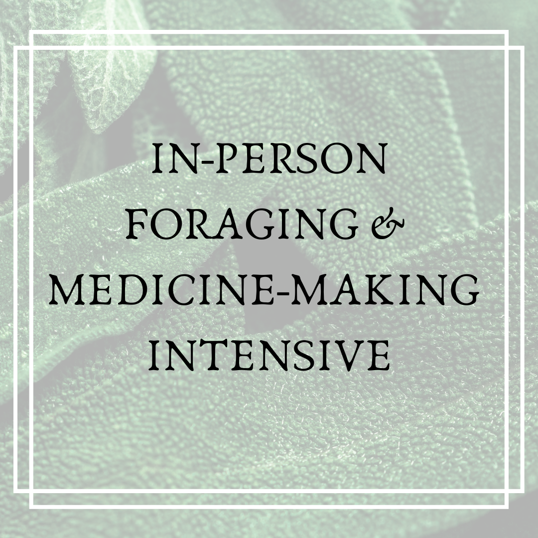 The Deep Roots School of Foraging & Herbal Medicine